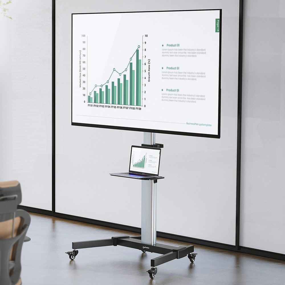 Display Mounts – Manhattan Products